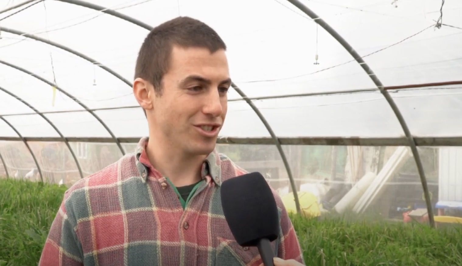 Pietro Armenante: ”La nostra agricoltura non viaggia sui trattori e ...